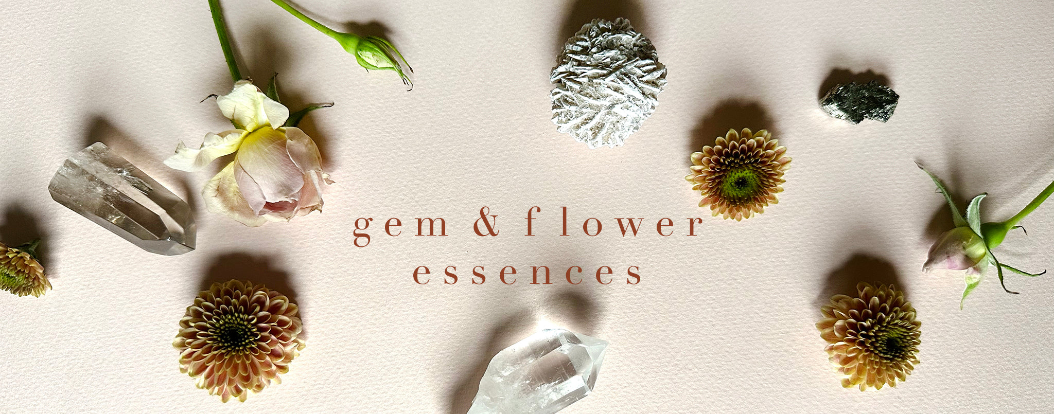 Flower and Gem Essences | Metaphysical Zines and Books | Brown Bear Herbs