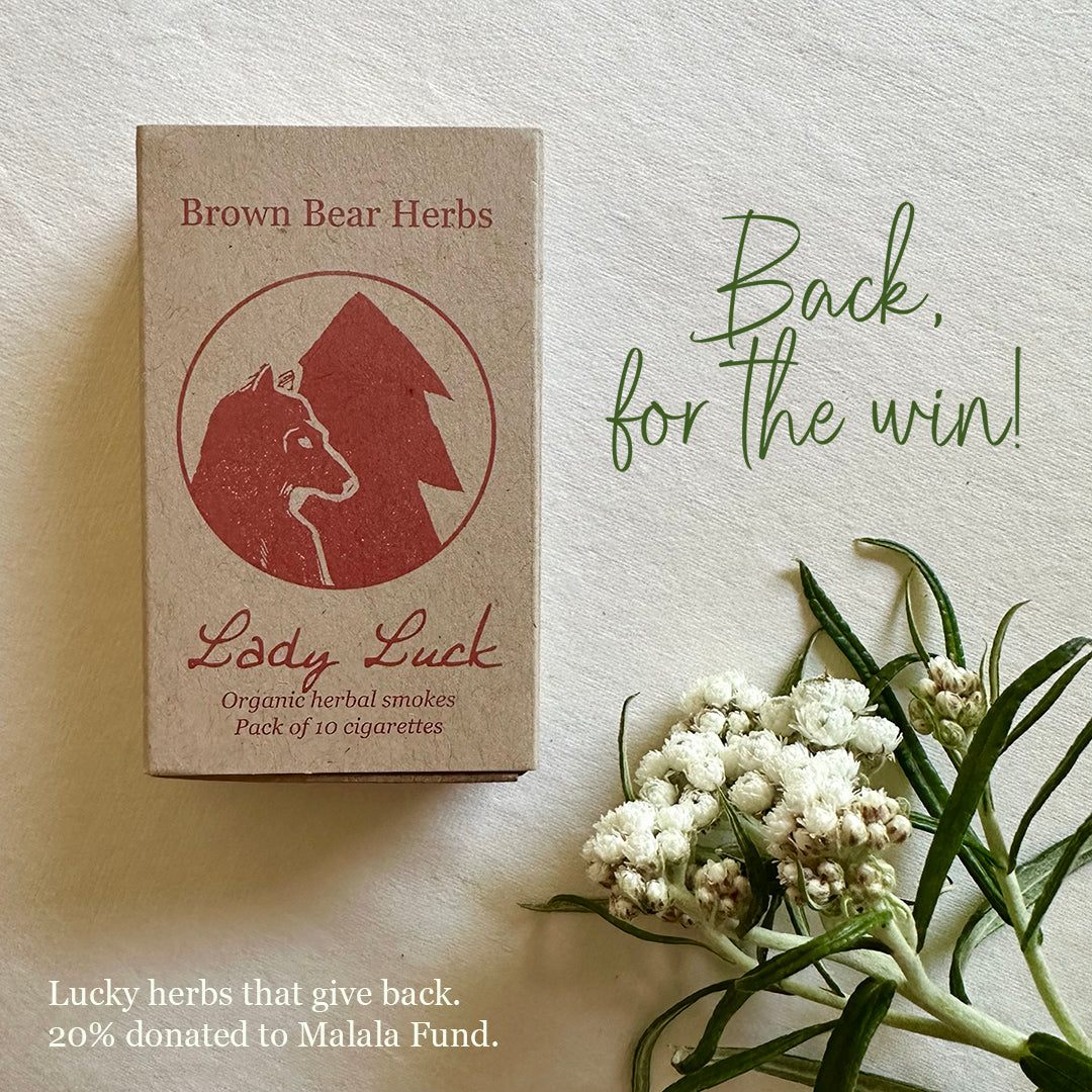 Lady Luck Herbal Smoking Blend is Back! – Brown Bear Herbs